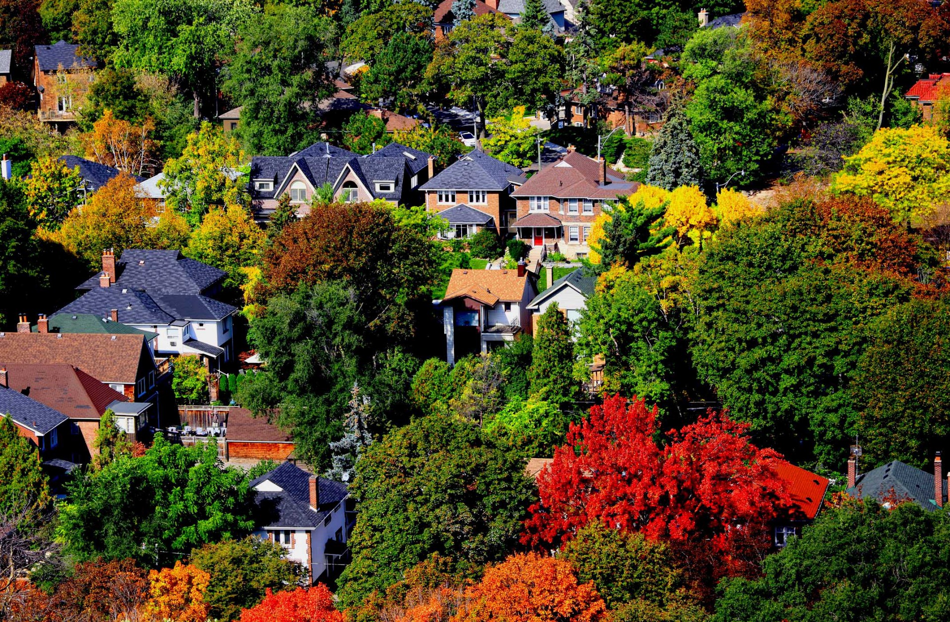 Neighbourhoods - Mark Lebovits